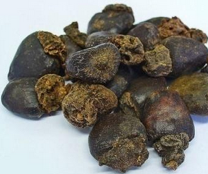 SPECIMEN SAMPLES - Kerala State Homoeopathic Co-operative Pharmacy Ltd ...